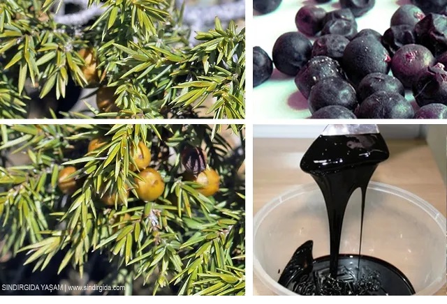 Odun Katranı Ki̇myasal Bi̇leşi̇k | Katran